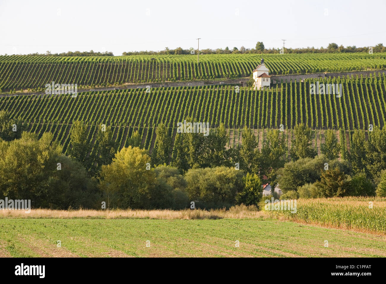 Michelau im steigerwald -Fotos und -Bildmaterial in hoher Auflösung – Alamy