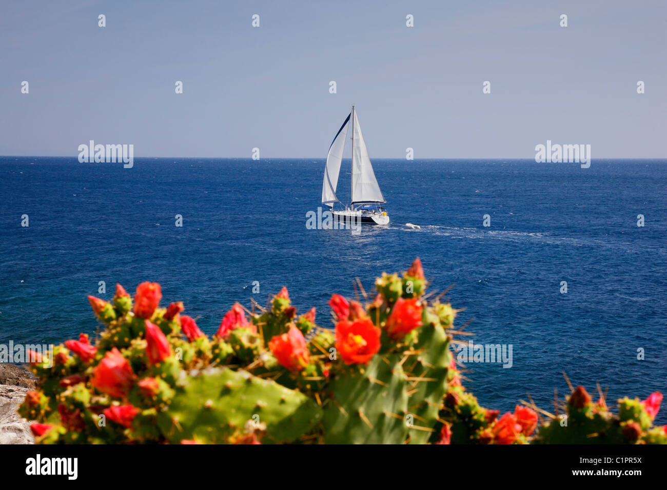 Segelboot bunte segel -Fotos und -Bildmaterial in hoher Auflösung – Alamy