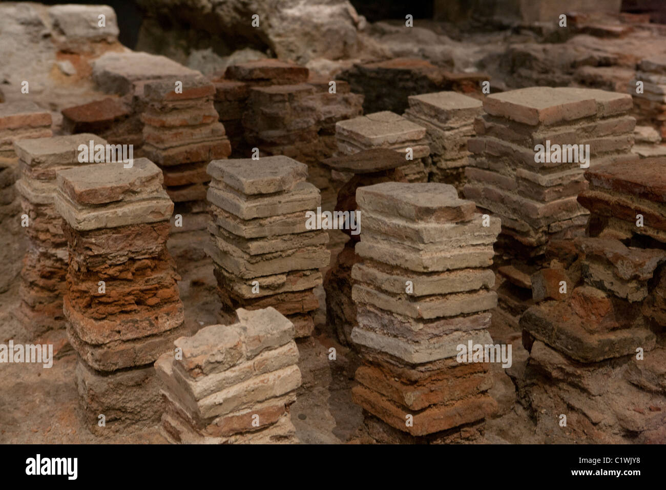 Cella coctilium -Fotos und -Bildmaterial in hoher Auflösung – Alamy