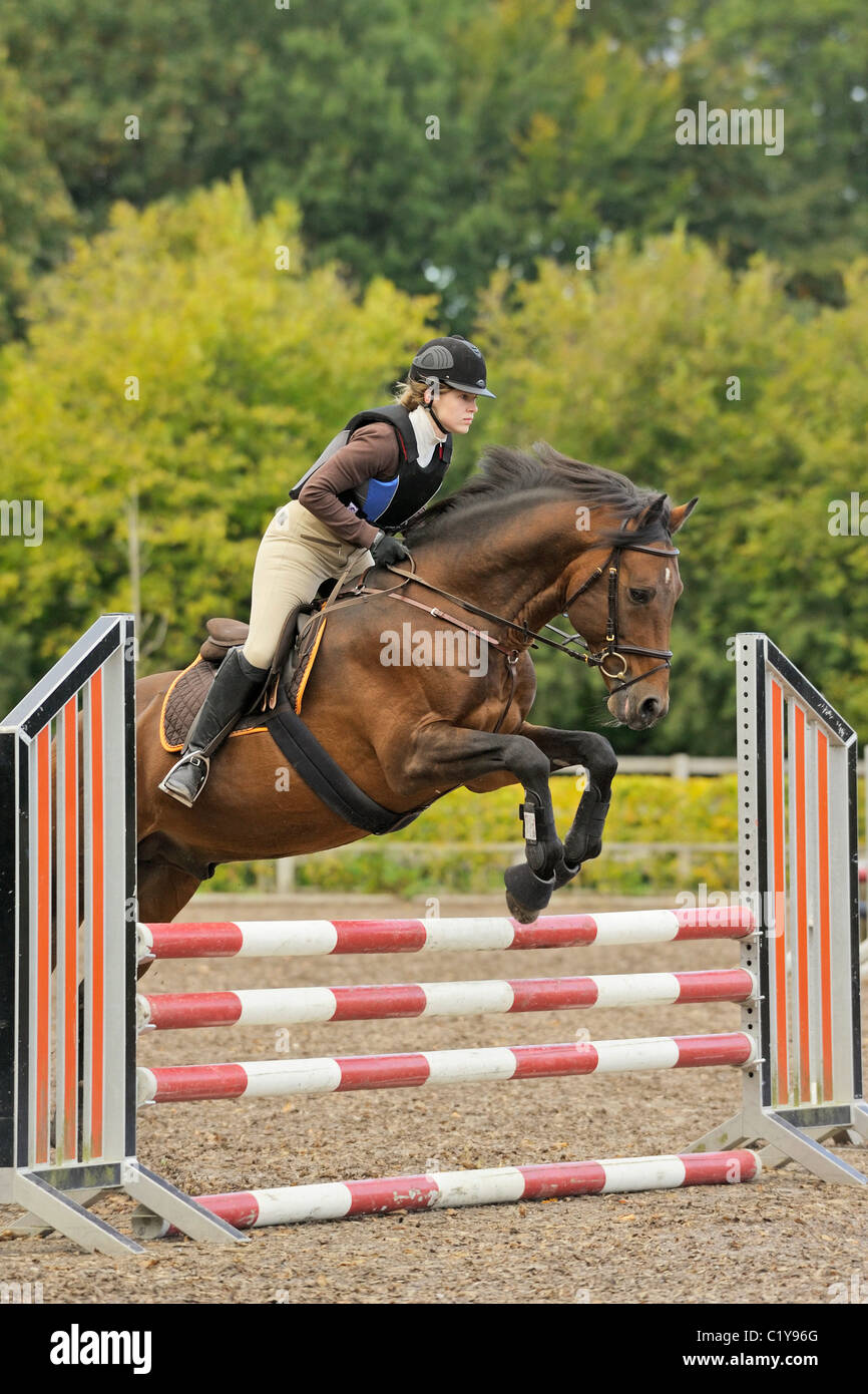 Reiter reiten springen springen springt -Fotos und -Bildmaterial in ...