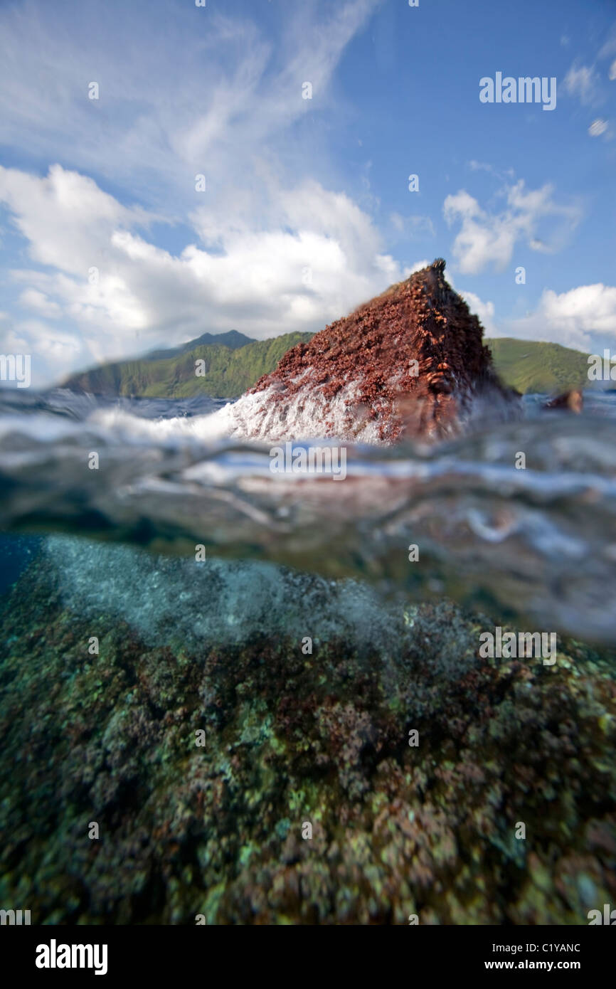 Shark fin rock tauchplatz -Fotos und -Bildmaterial in hoher Auflösung ...