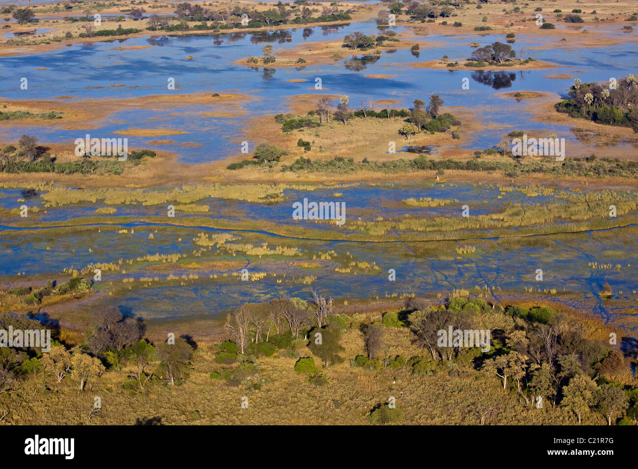 Okavango delta sumpflandschaft -Fotos und -Bildmaterial in hoher ...