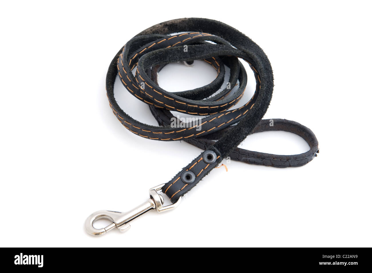 Band collar -Fotos und -Bildmaterial in hoher Auflösung – Alamy