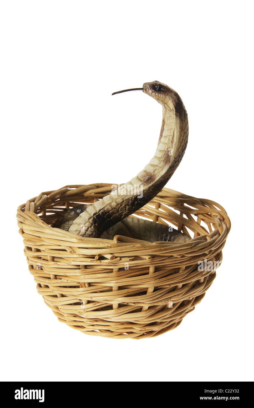 Korb der schlange -Fotos und -Bildmaterial in hoher Auflösung – Alamy