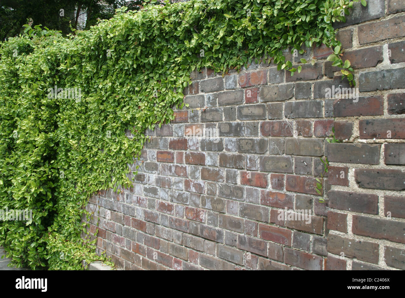 Ziegel und zaun Stockfotos und -bilder Kaufen - Alamy