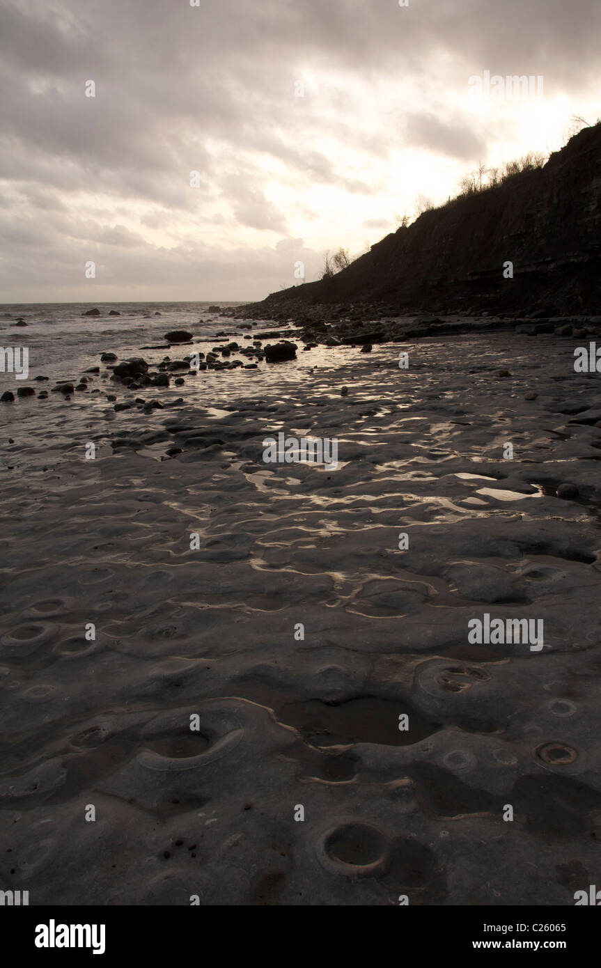 Der ammoniter Friedhof an der Monmouth Beach in Lyme Regis. Hunderte ...