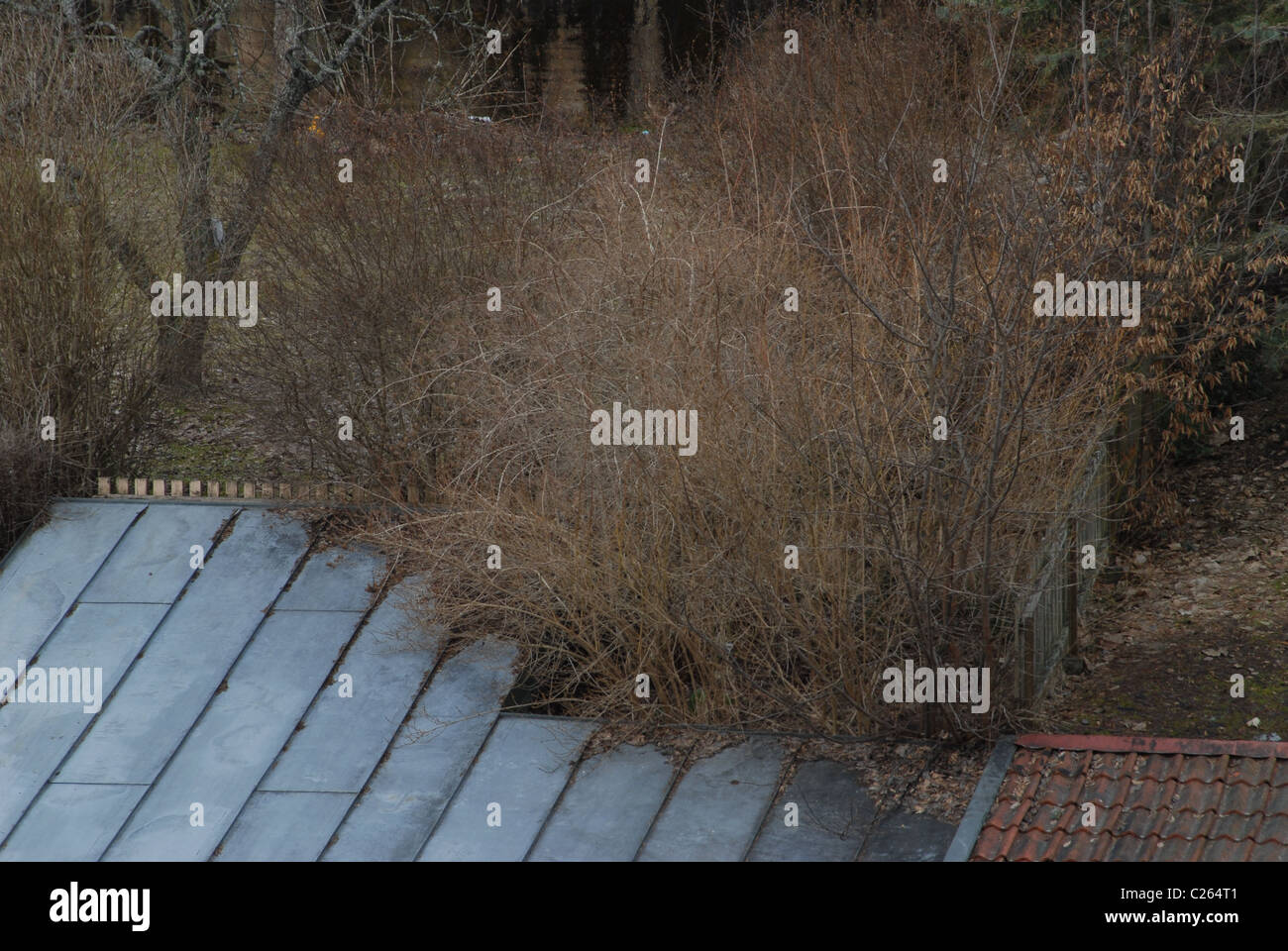 Tetto in mattoni -Fotos und -Bildmaterial in hoher Auflösung – Alamy