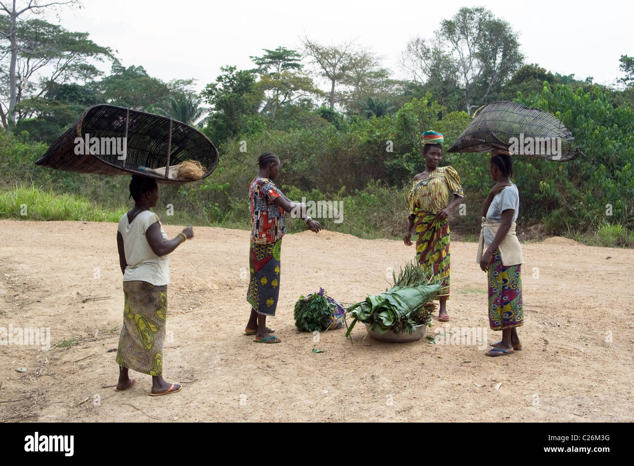 Ubangi River Stockfotos & Ubangi River Bilder - Alamy