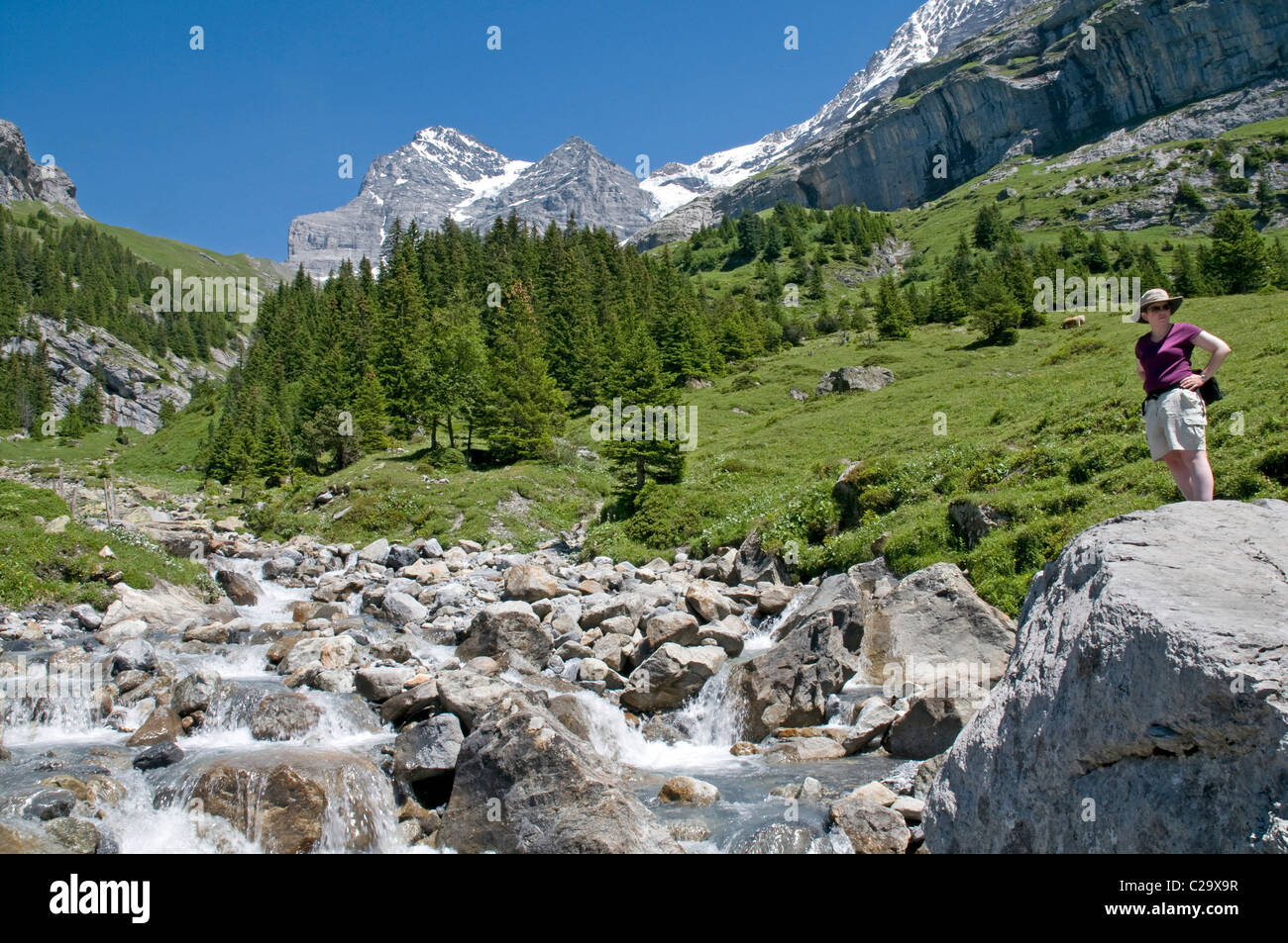 Karen bach -Fotos und -Bildmaterial in hoher Auflösung – Alamy