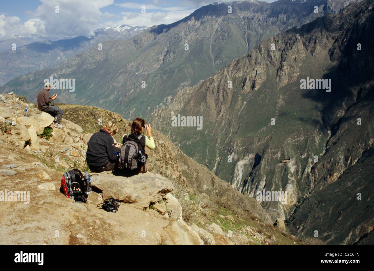Gruppe von kondoren -Fotos und -Bildmaterial in hoher Auflösung – Alamy