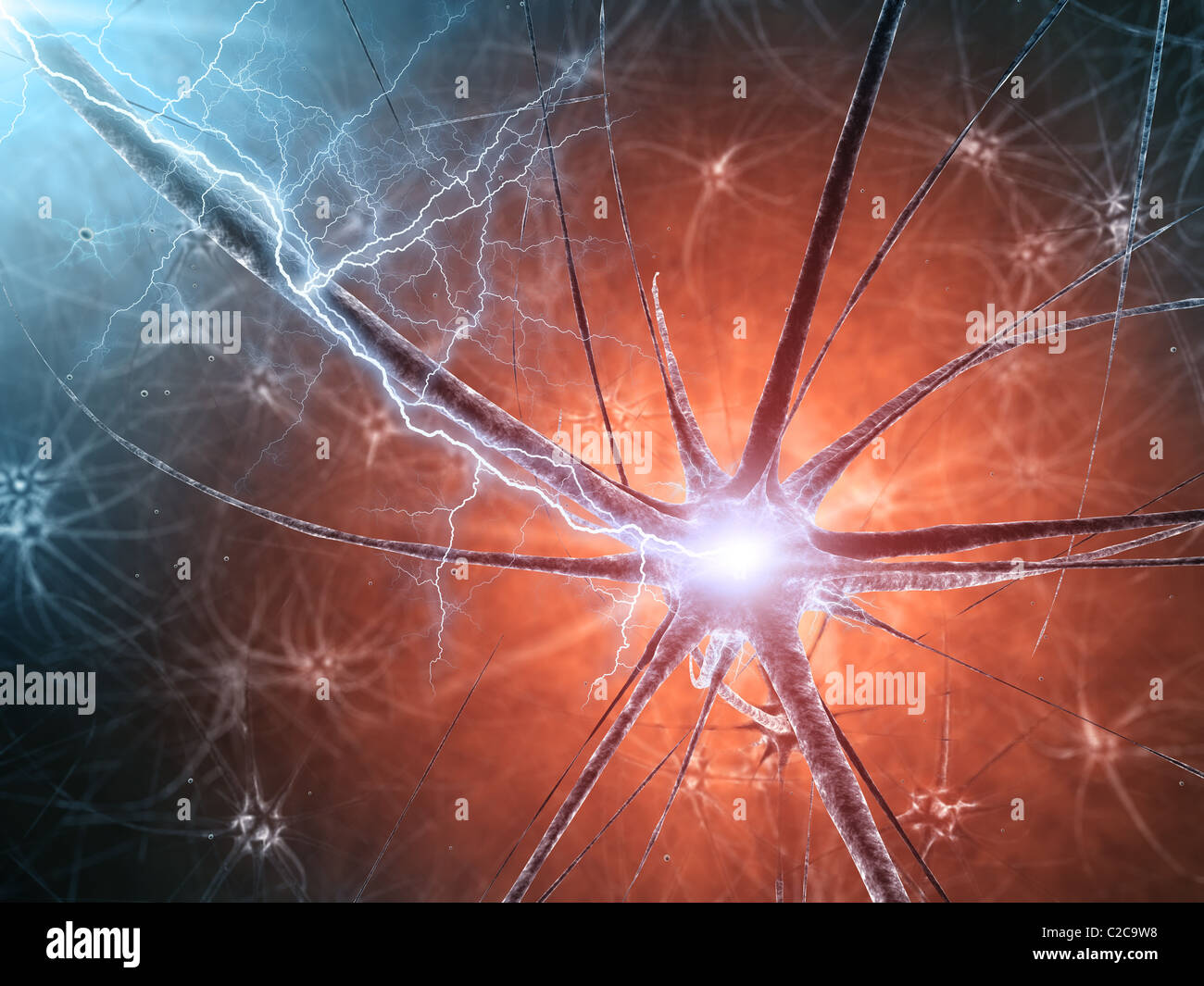 Detailliertes neuron -Fotos und -Bildmaterial in hoher Auflösung – Alamy