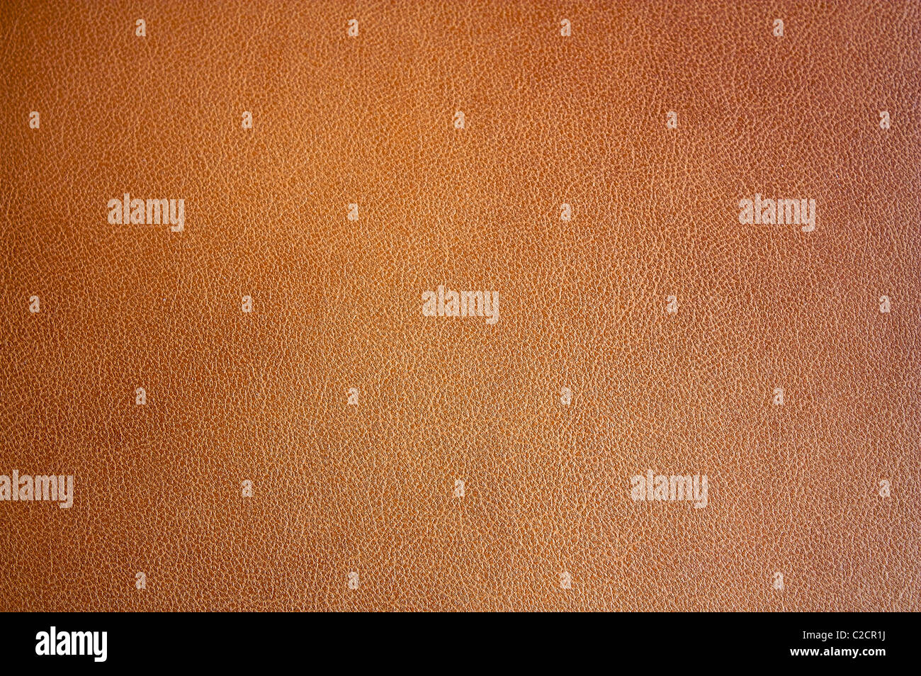 Leather texture -Fotos und -Bildmaterial in hoher Auflösung – Alamy