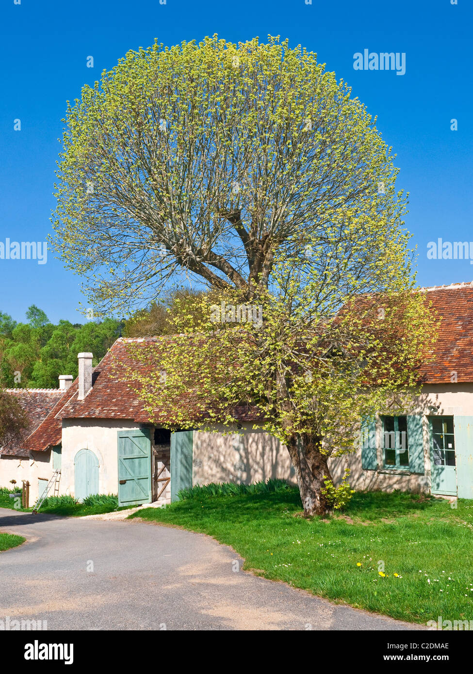 Haus zur linde Stockfotos und -bilder Kaufen - Alamy