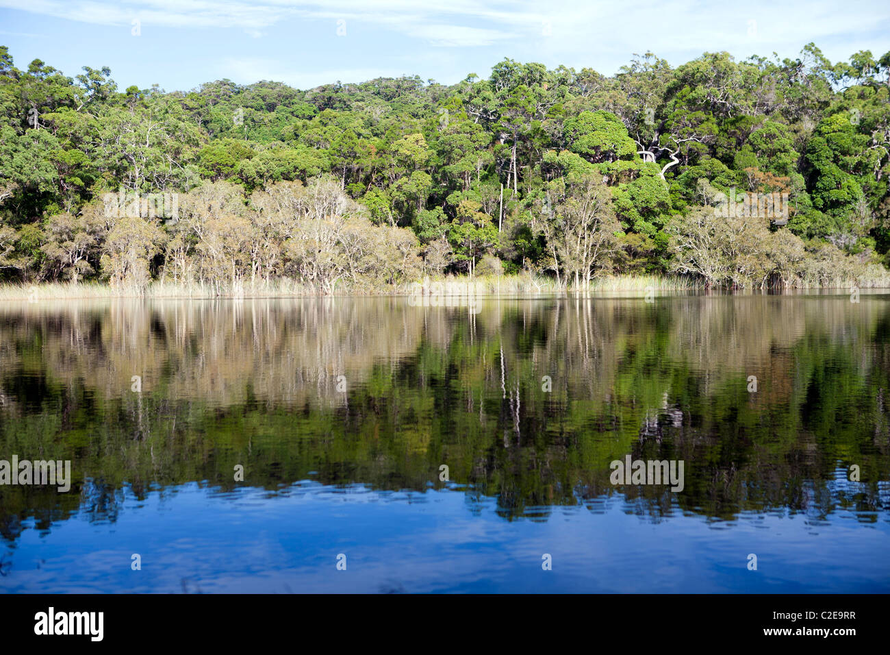 Poona Lake Cooloola Great Sandy Stockfotos & Poona Lake Cooloola Great ...