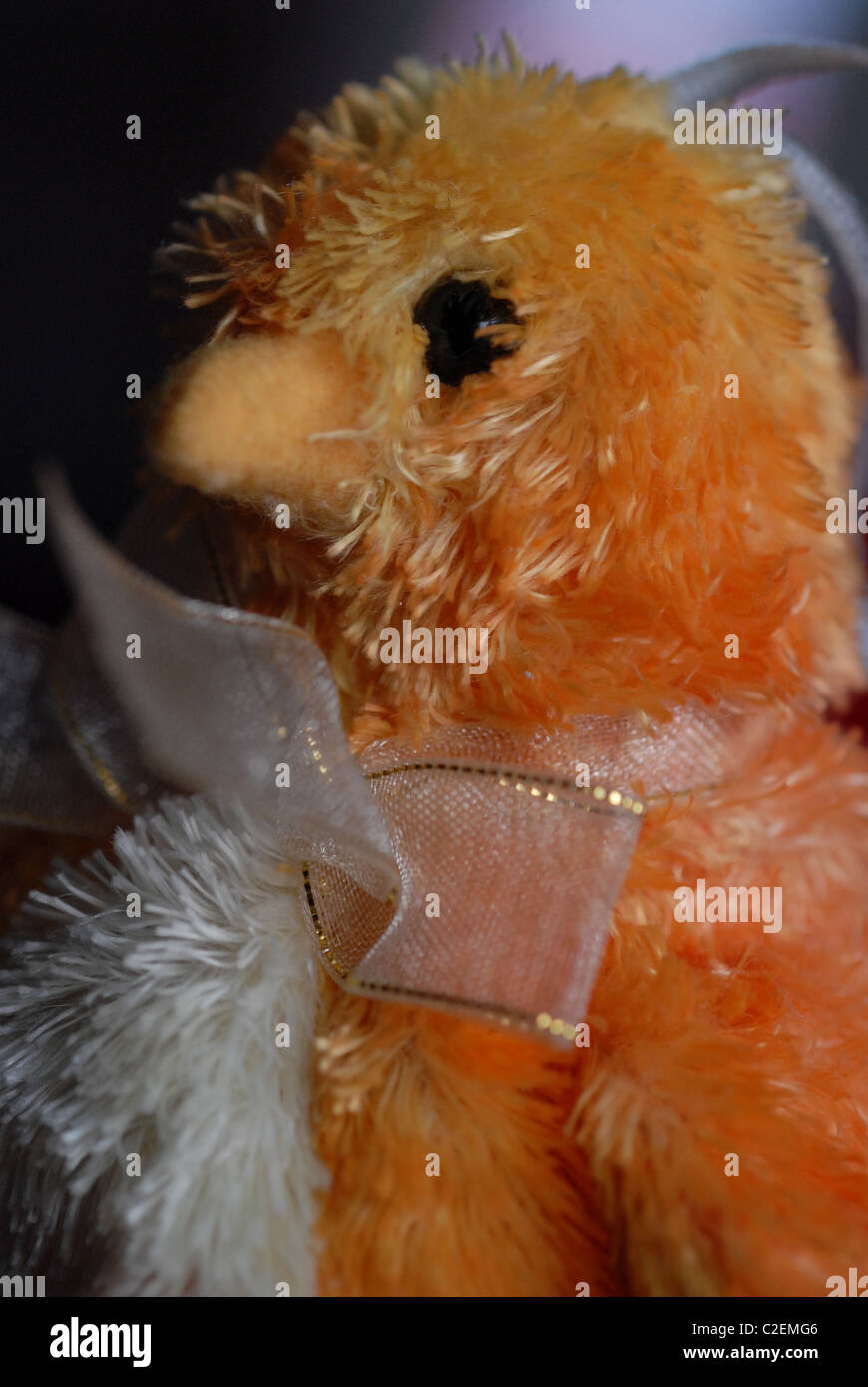Huhn porträt -Fotos und -Bildmaterial in hoher Auflösung – Alamy