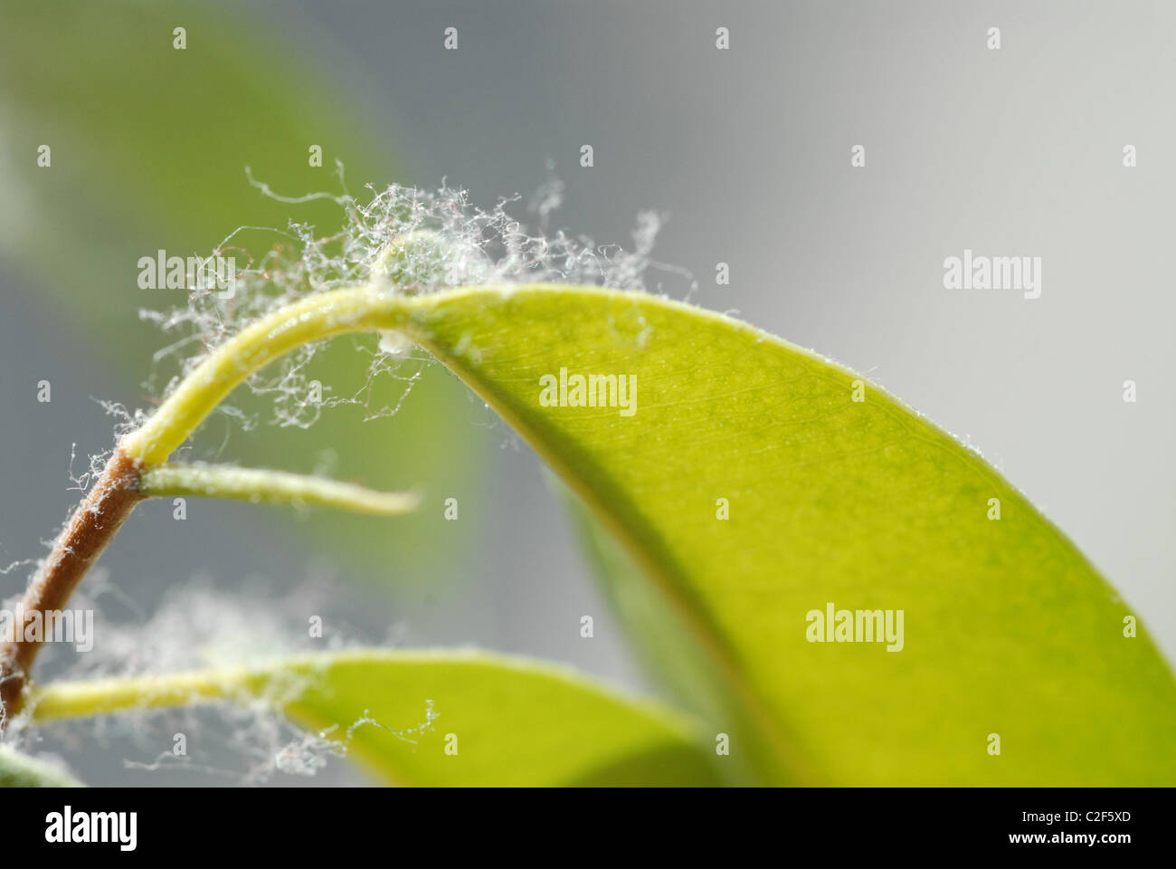 Inquinamento atmosferico -Fotos und -Bildmaterial in hoher Auflösung ...