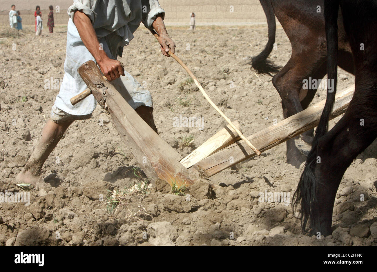 Arabischer pflug -Fotos und -Bildmaterial in hoher Auflösung – Alamy