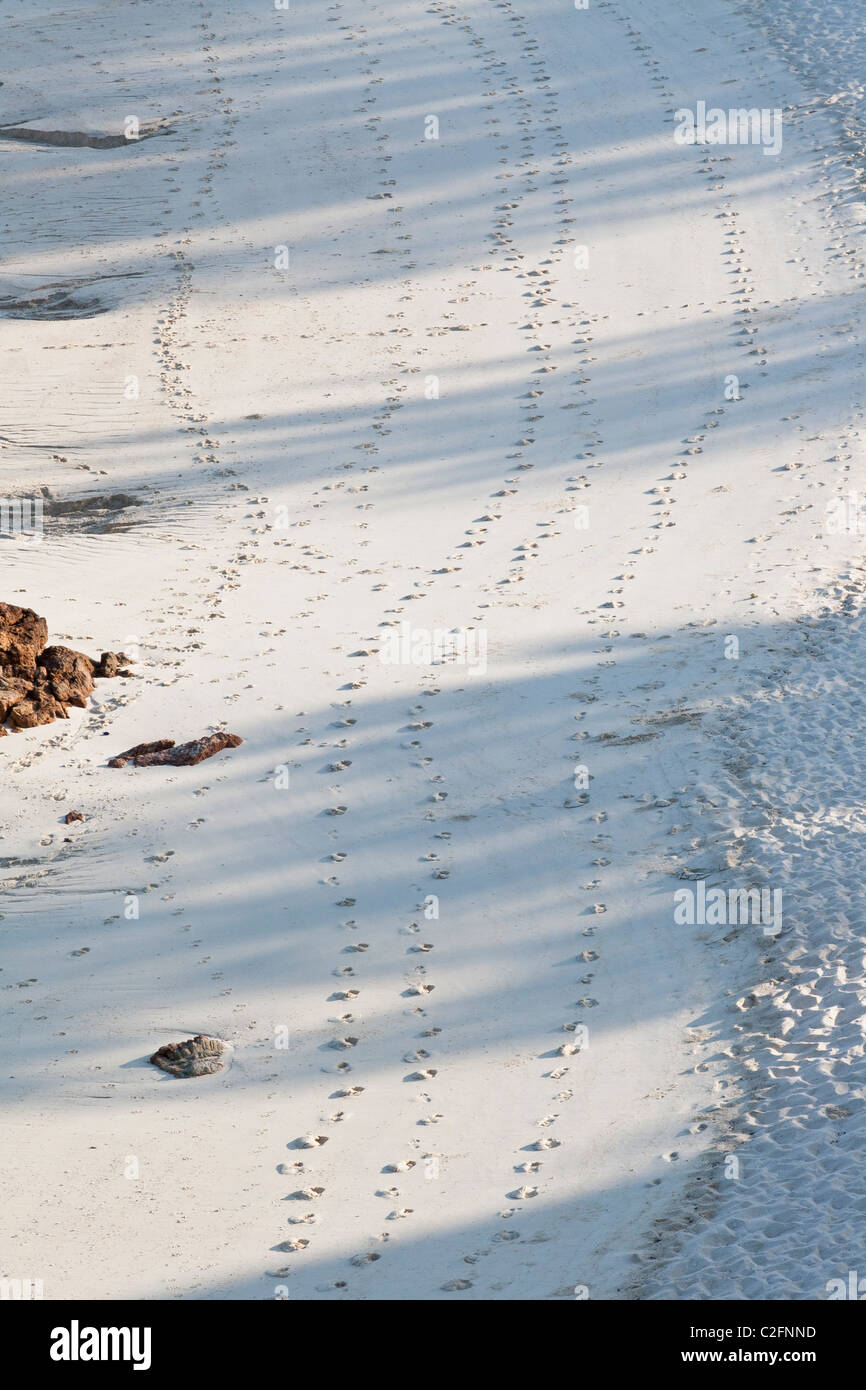 Fußspuren fußabdruck sand -Fotos und -Bildmaterial in hoher Auflösung – Alamy