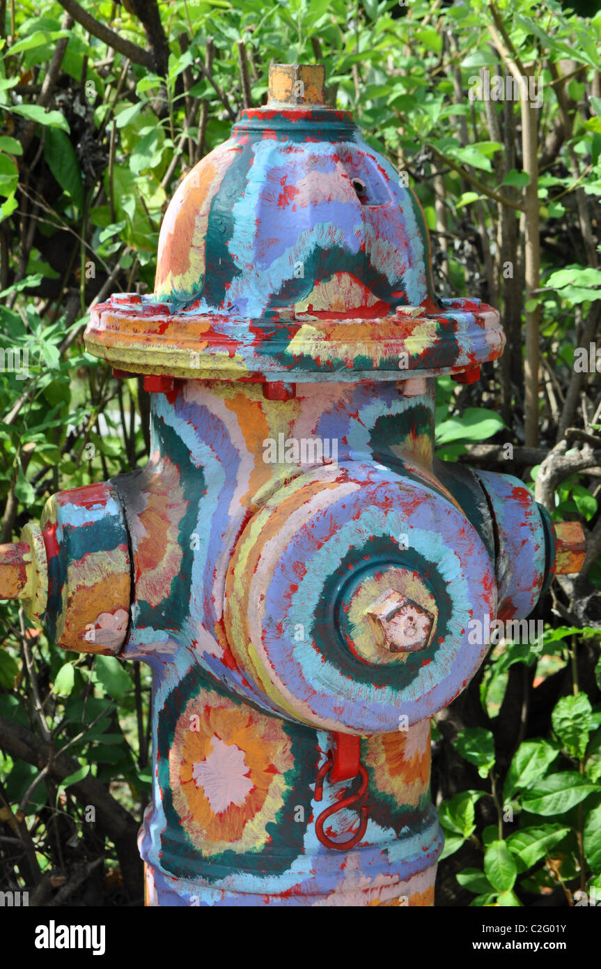 Hydrant tropical -Fotos und -Bildmaterial in hoher Auflösung – Alamy