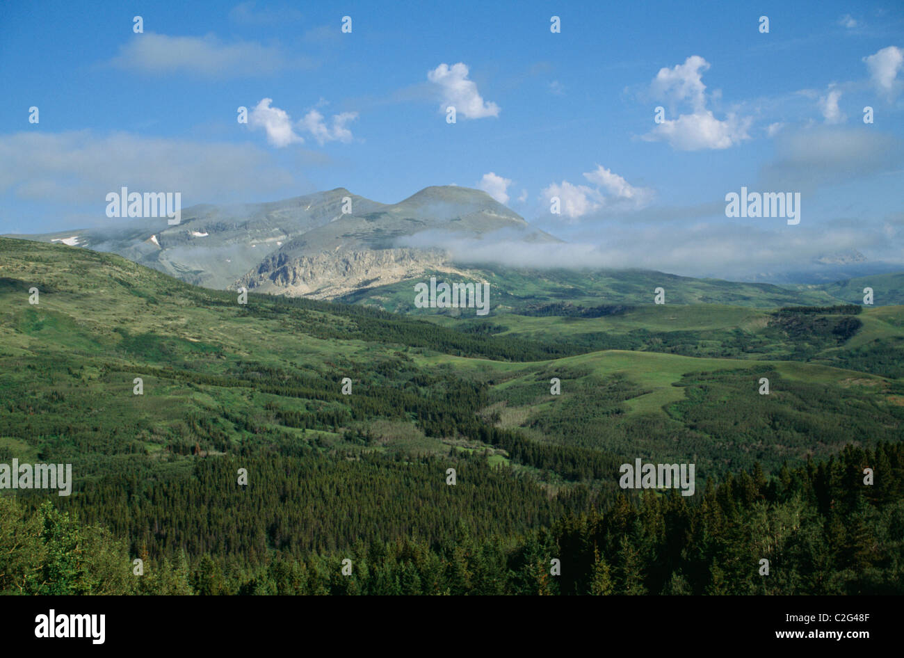 Beartooth plateau -Fotos und -Bildmaterial in hoher Auflösung – Alamy
