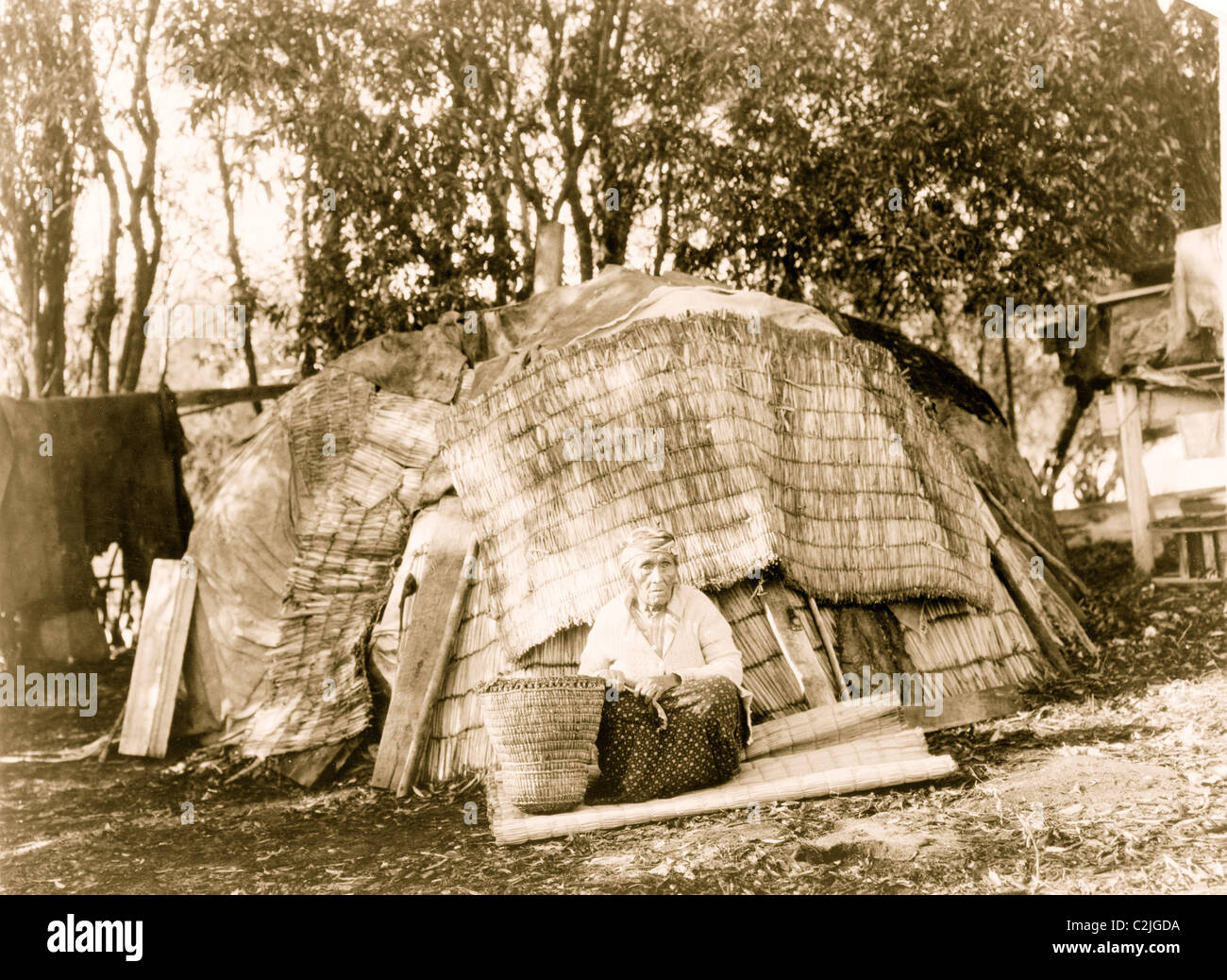 Tule rush -Fotos und -Bildmaterial in hoher Auflösung – Alamy