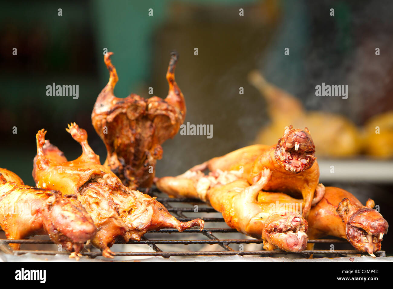 Gebratenes meerschweinchen -Fotos und -Bildmaterial in hoher Auflösung ...