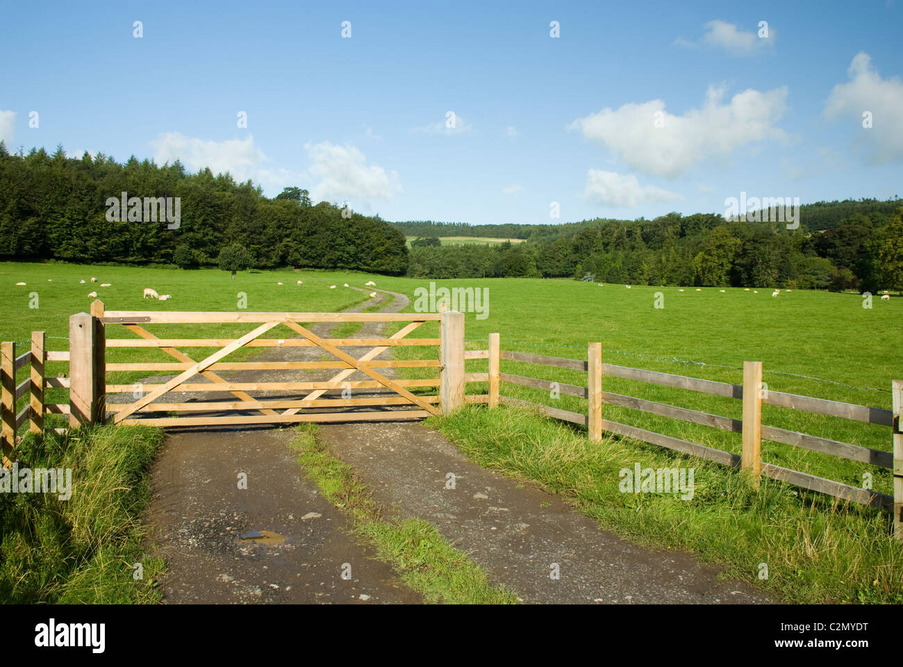 Hölzernes ranch tor -Fotos und -Bildmaterial in hoher Auflösung – Alamy