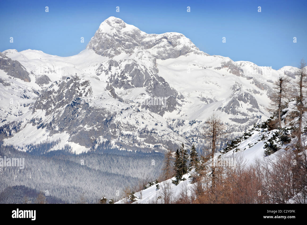 Die südlichen Julier mit Berg Triglav aus der Vogel-Ski-Zentrum in ...