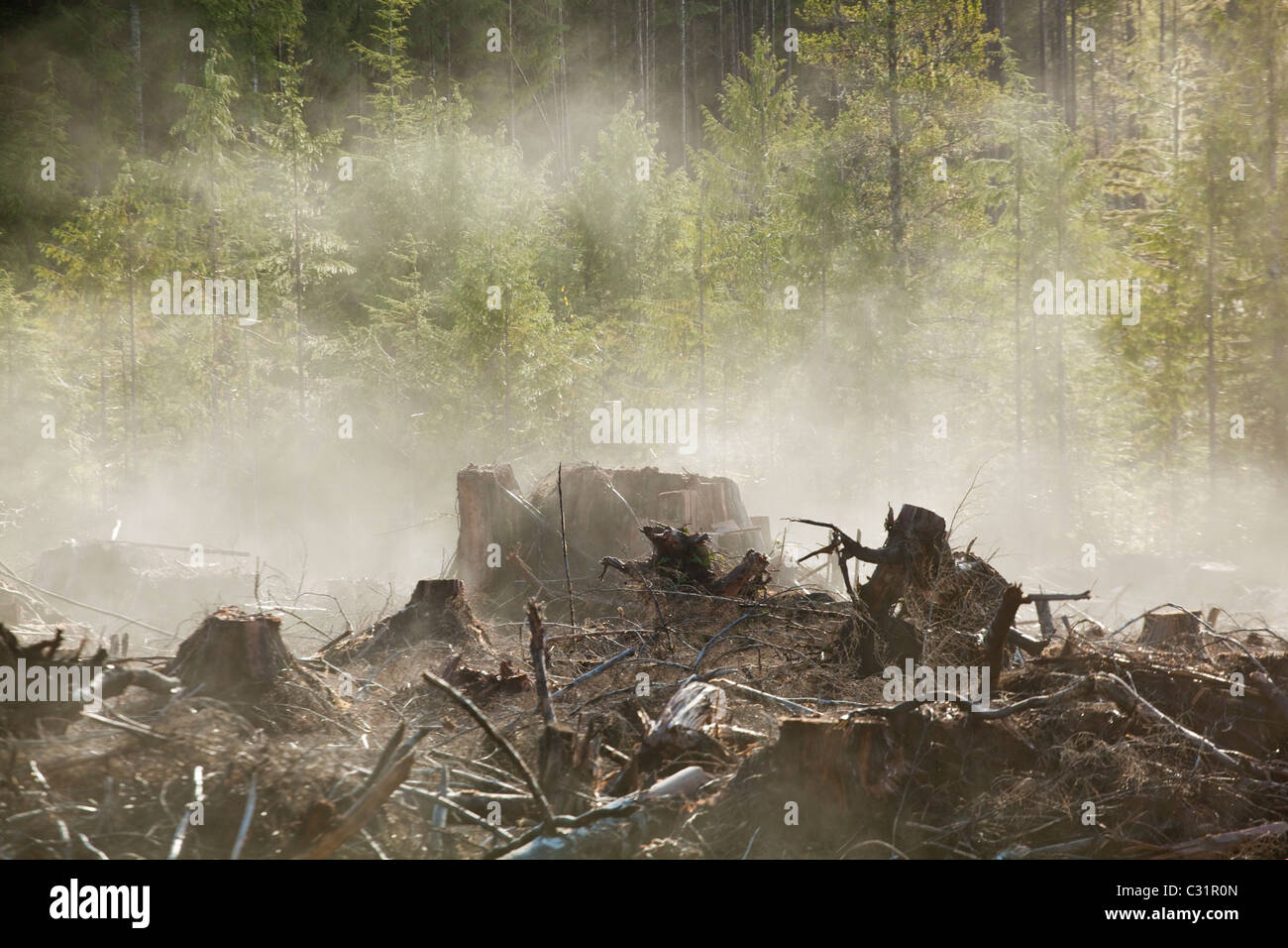 Washington usa state deforestation -Fotos und -Bildmaterial in hoher ...