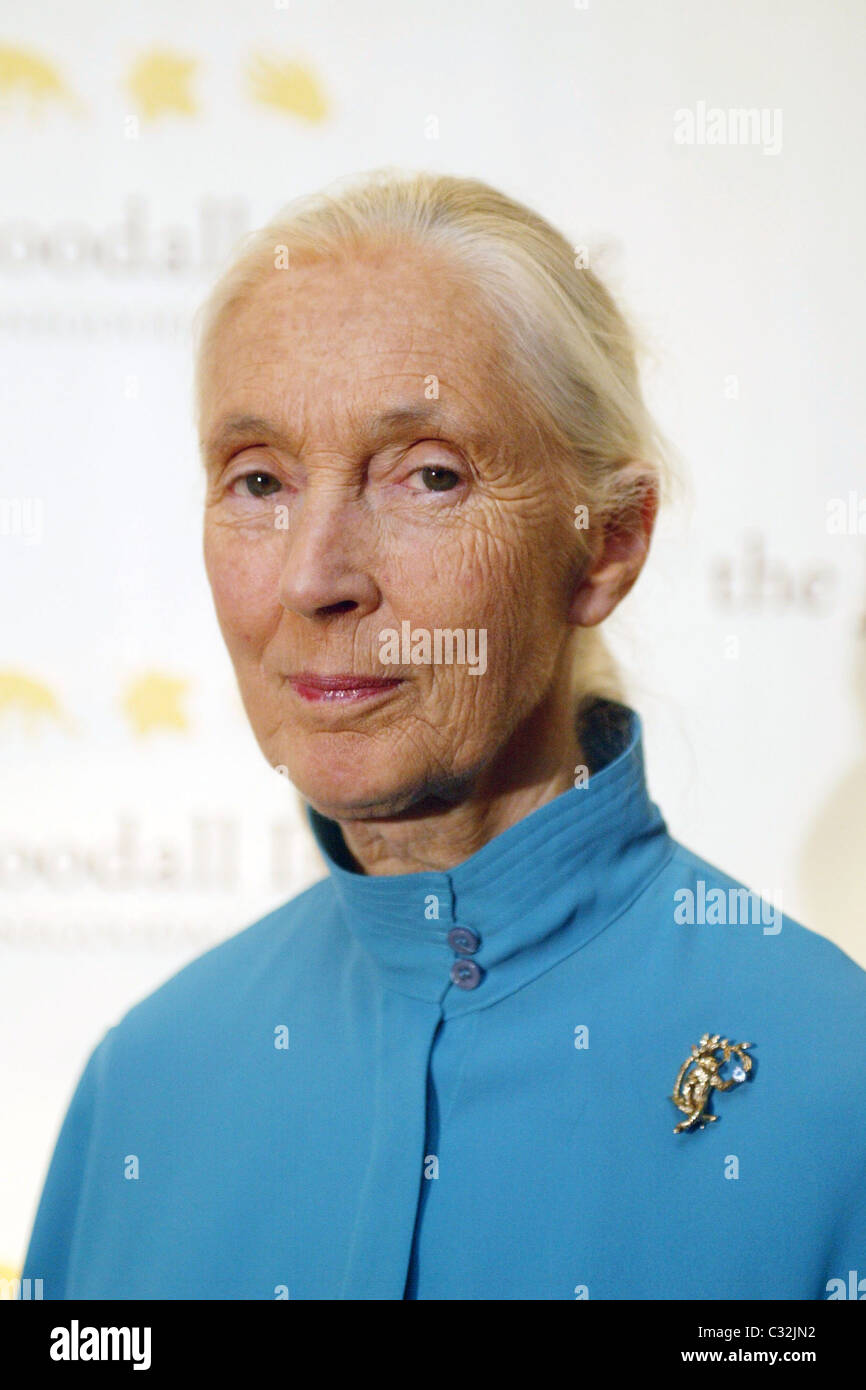 Jane goodall jane goodall institutes -Fotos und -Bildmaterial in hoher ...