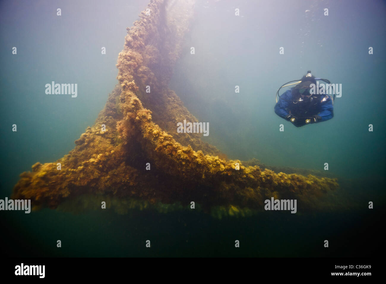 Ein Taucher am Bug des Wracks der Ilsenstein, eines der Sperrschiffe ...