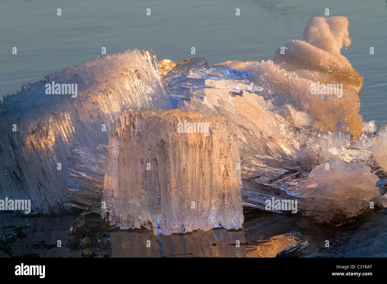 Unter sibirisch -Fotos und -Bildmaterial in hoher Auflösung – Alamy