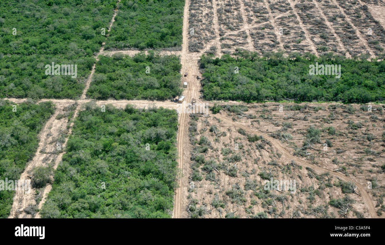 Gran Chaco Paraguay Stockfotos & Gran Chaco Paraguay Bilder - Alamy