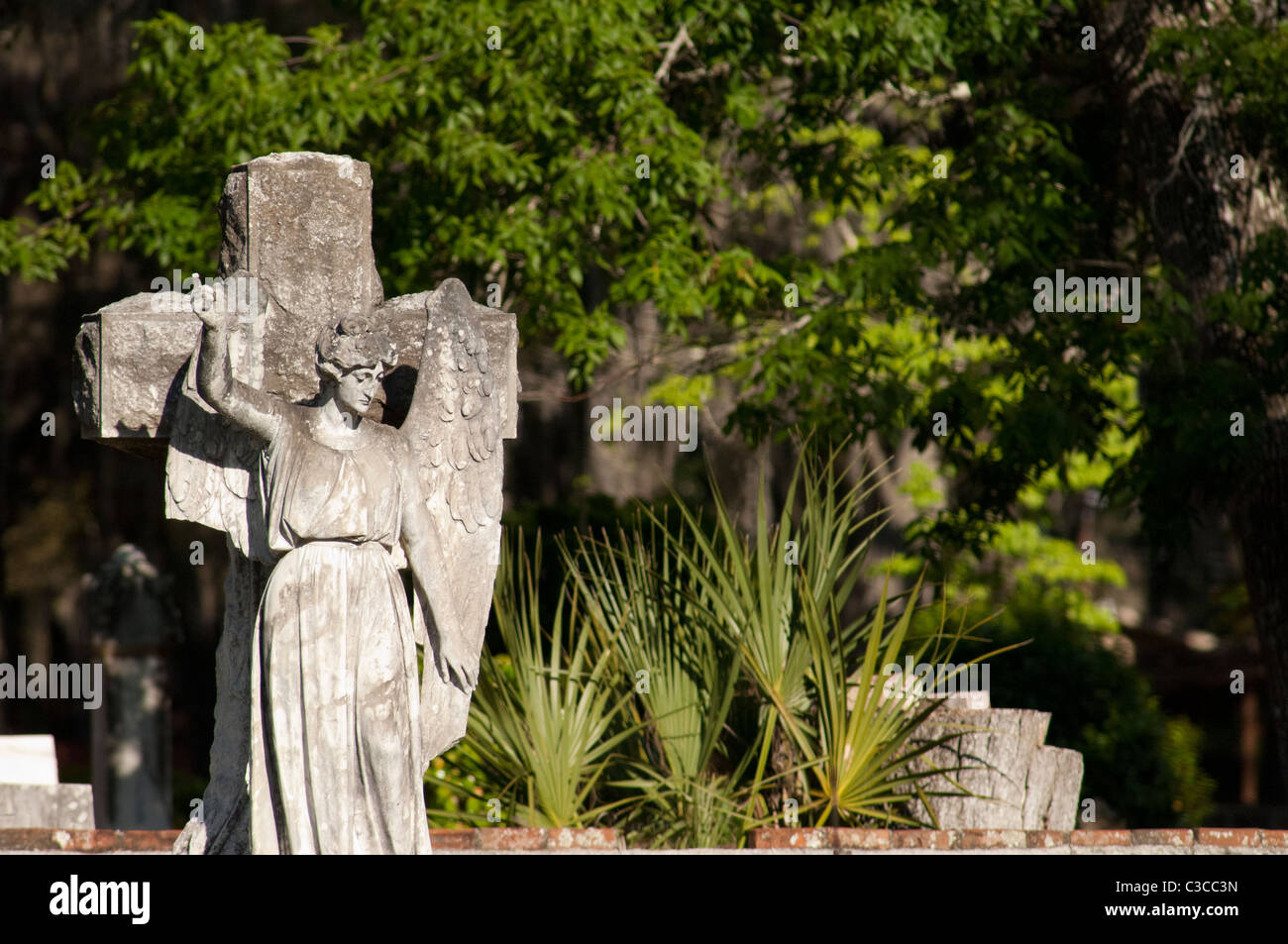 Marys eiche -Fotos und -Bildmaterial in hoher Auflösung – Alamy