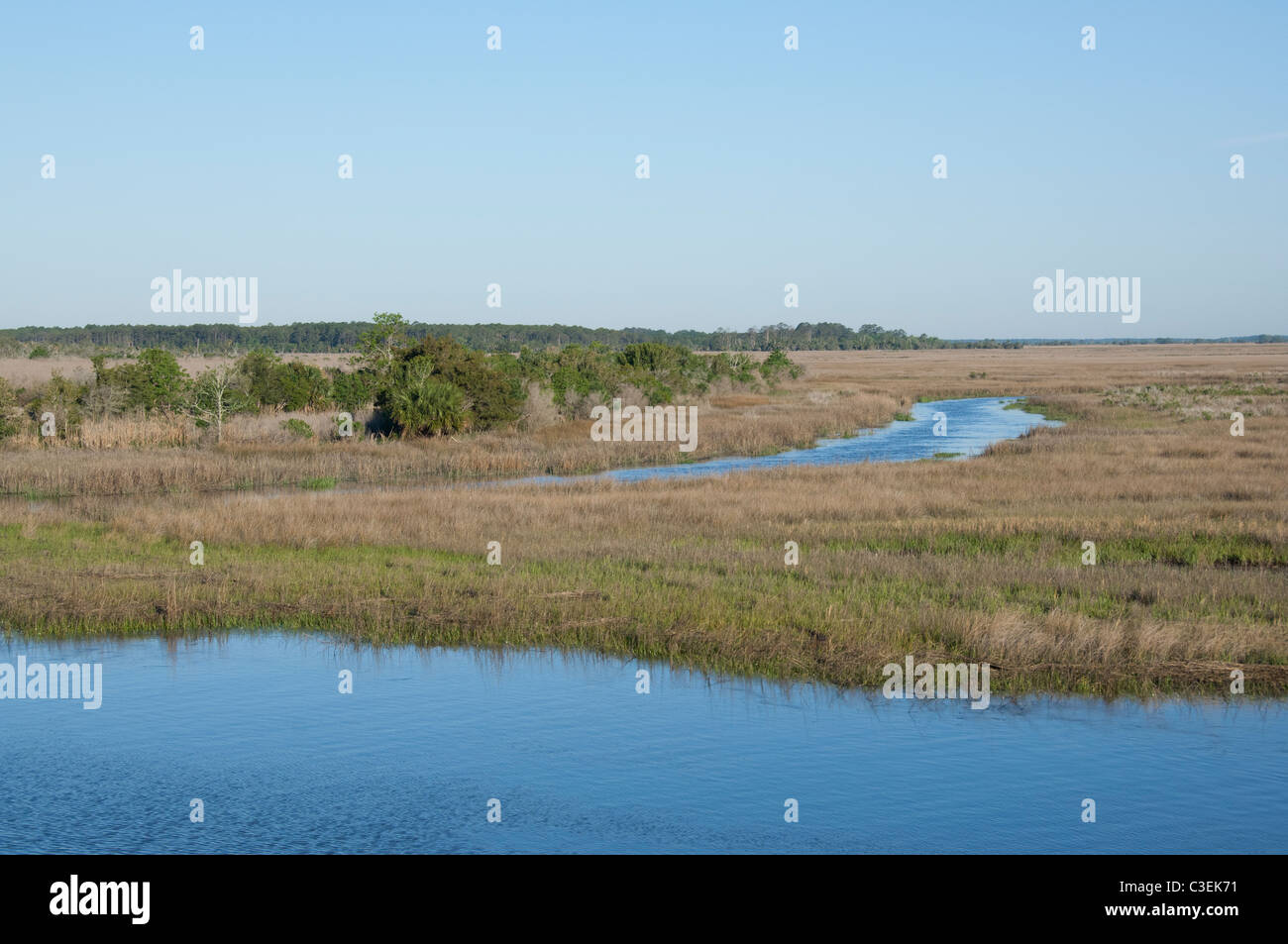 Marschland north carolina -Fotos und -Bildmaterial in hoher Auflösung ...