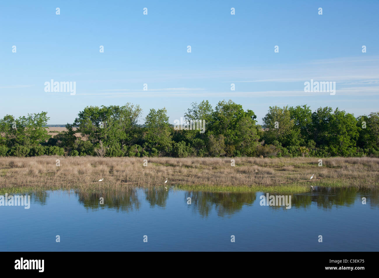 Marschland north carolina -Fotos und -Bildmaterial in hoher Auflösung ...