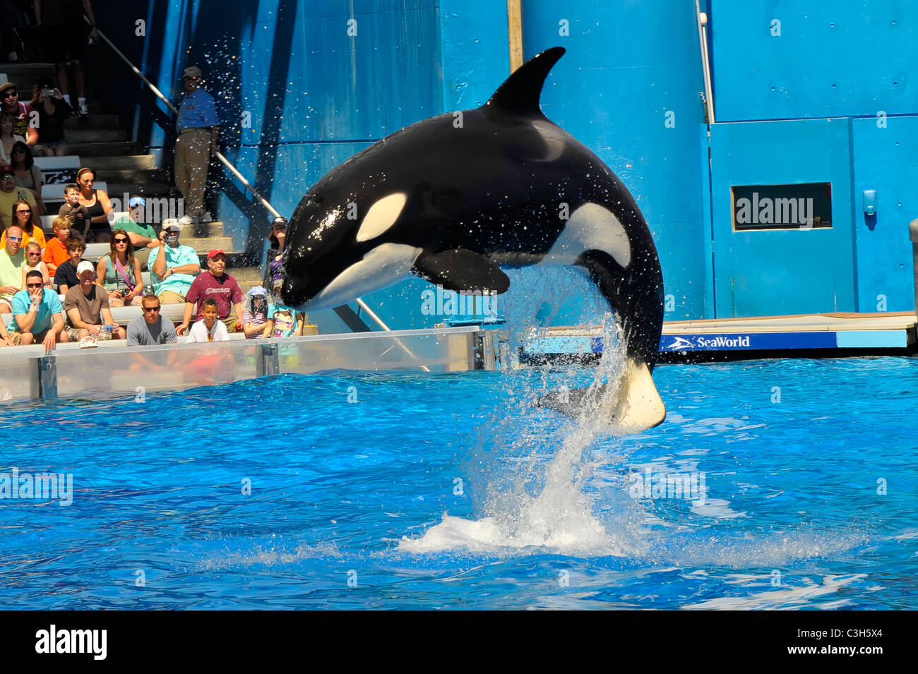 Sea World Adventure Theme Park Orlando Florida Shamu Killer whale ...