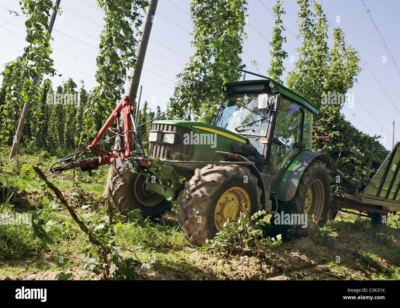 Deutschland, Farm Maschine Ernte Hopfen Stockfotografie - Alamy