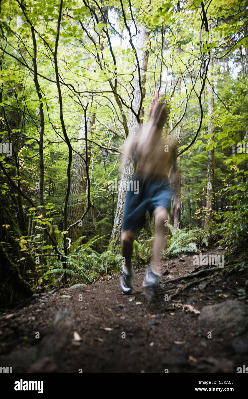 Kleine si spur -Fotos und -Bildmaterial in hoher Auflösung – Alamy