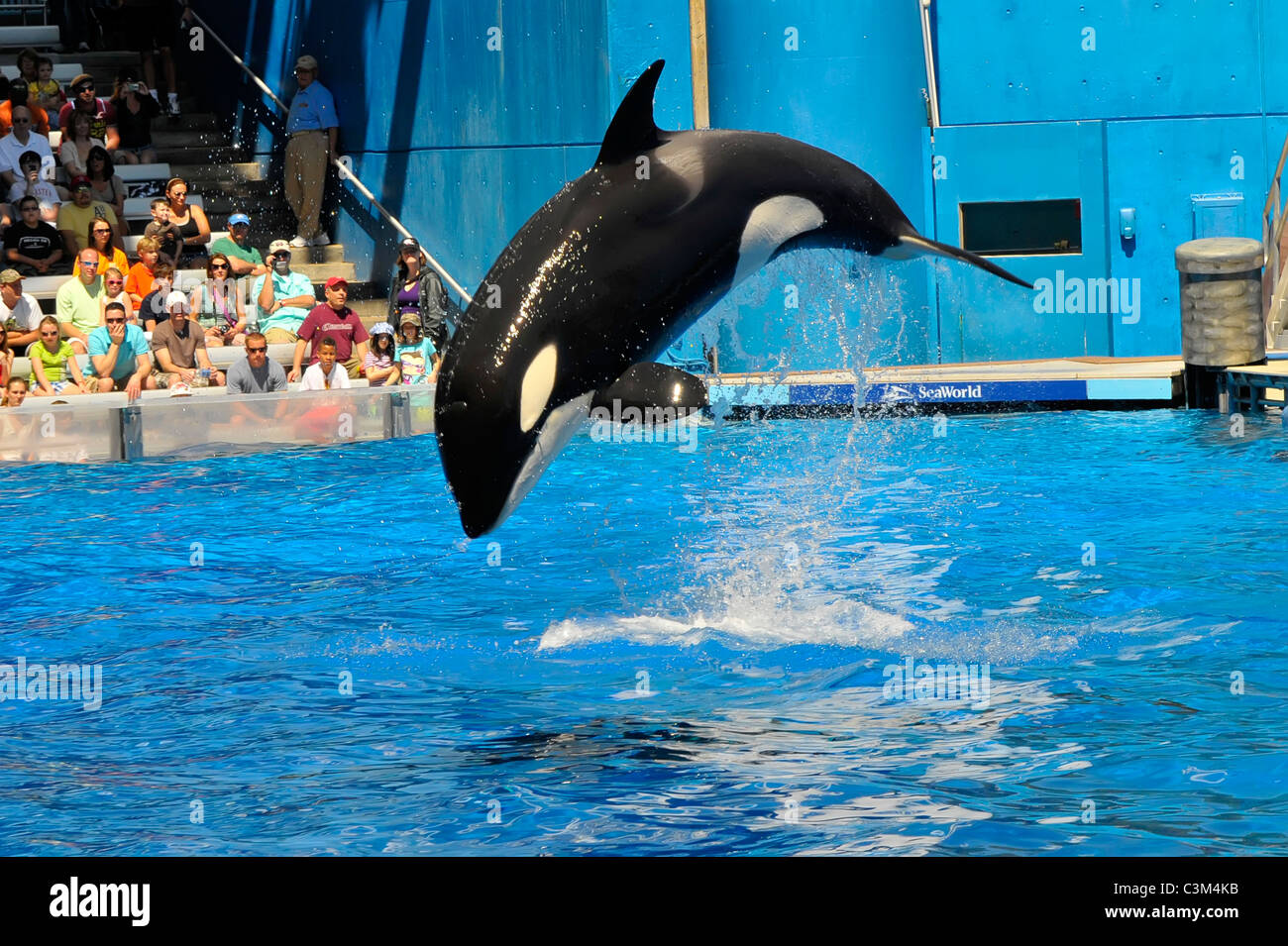 Sea World Adventure Theme Park Orlando Florida Shamu Killer whale ...