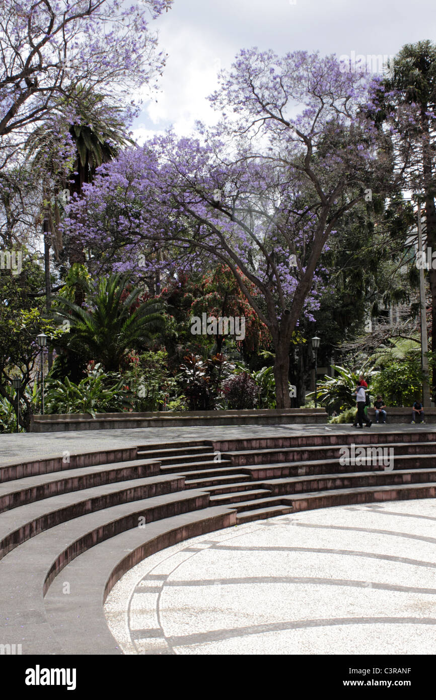 Amphitheater in Jardim de Sao Francisco Funchal Madeira Stockfotografie ...