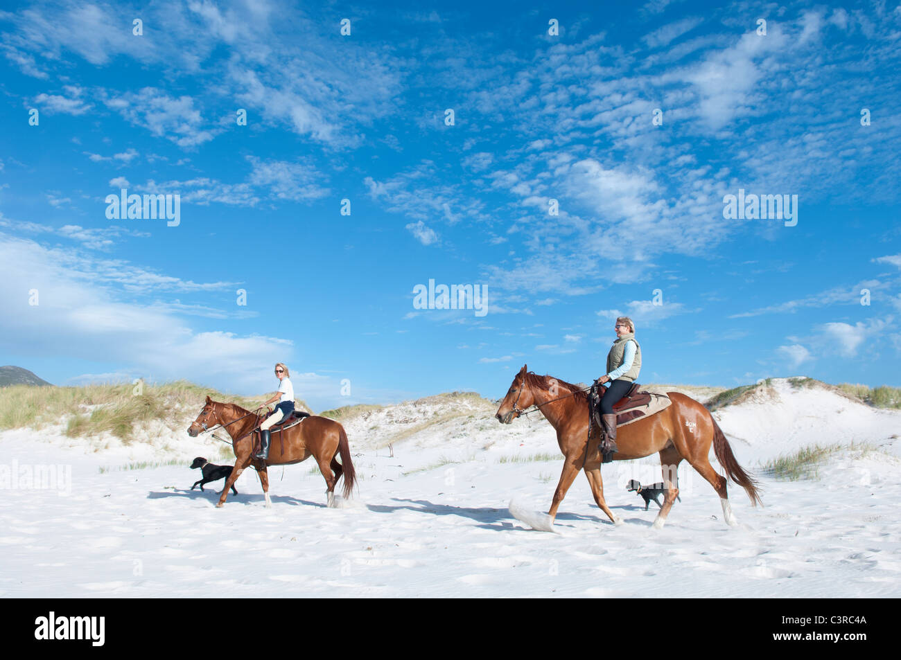 Menschen pferd hund strand -Fotos und -Bildmaterial in hoher Auflösung – Alamy