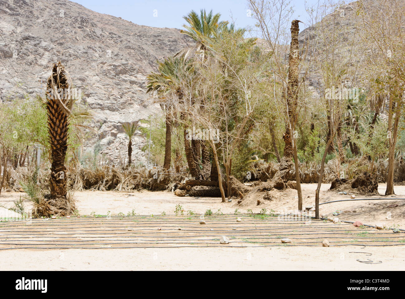 Wasserversorgung ägypten -Fotos und -Bildmaterial in hoher Auflösung ...