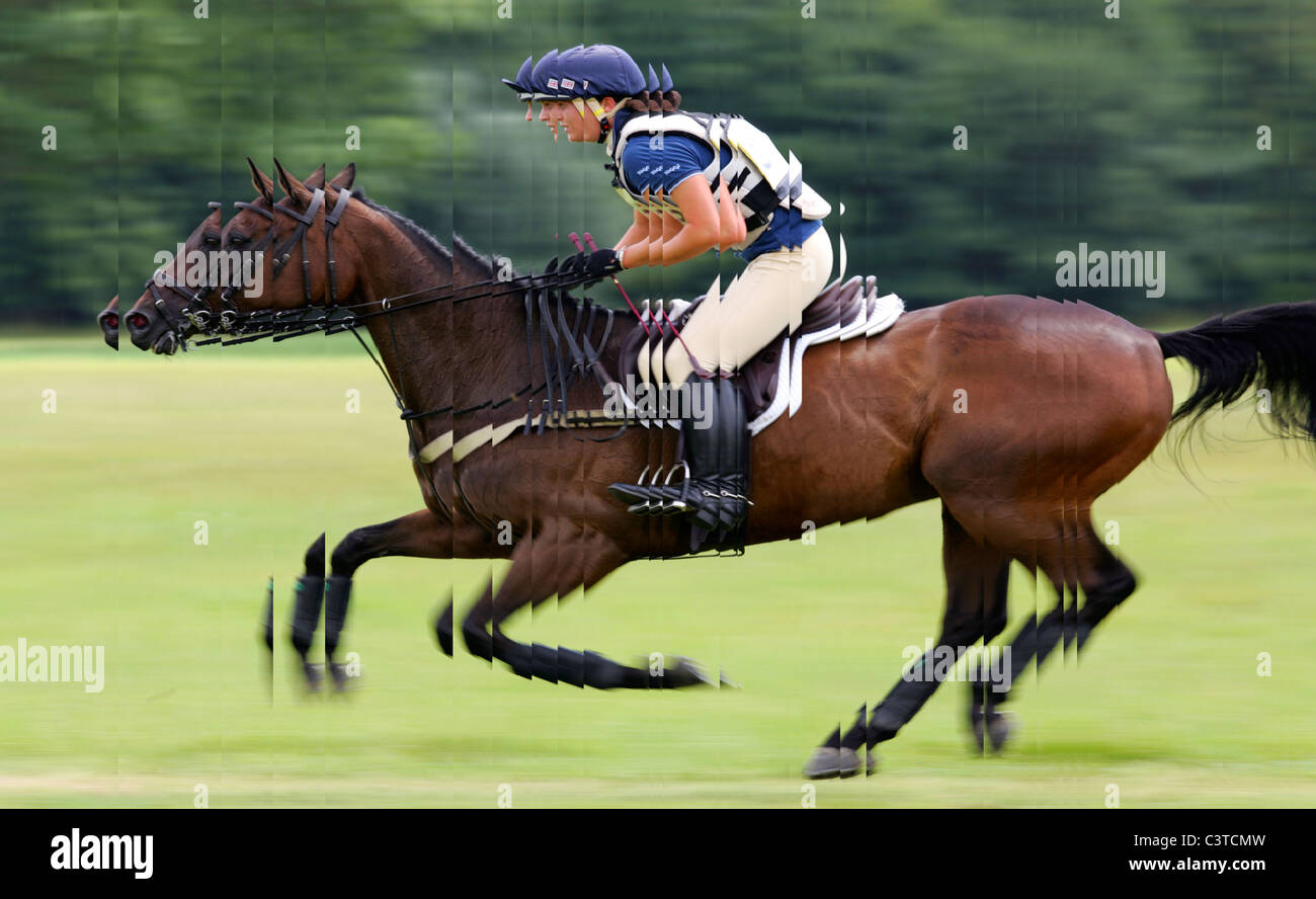 Reiter galoppieren -Fotos und -Bildmaterial in hoher Auflösung – Alamy