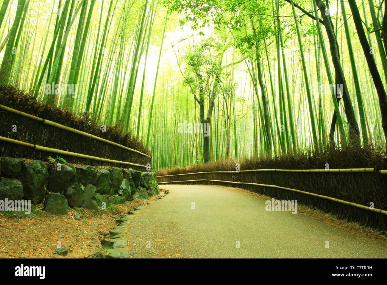 Der Kyoto Bambuswald Stockfotos und -bilder Kaufen - Alamy