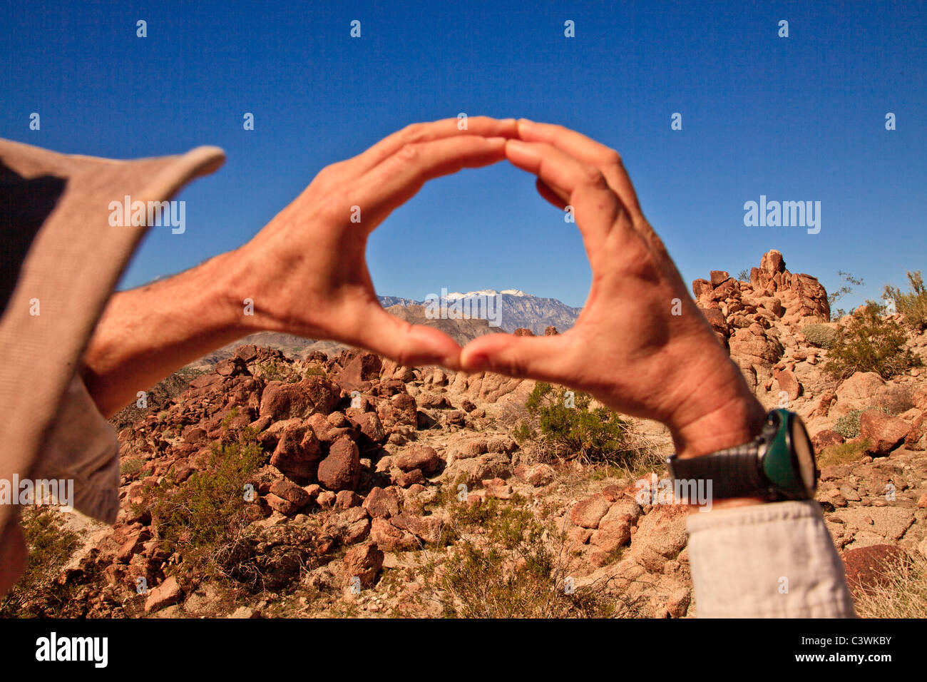 Wohnraum leer -Fotos und -Bildmaterial in hoher Auflösung – Alamy