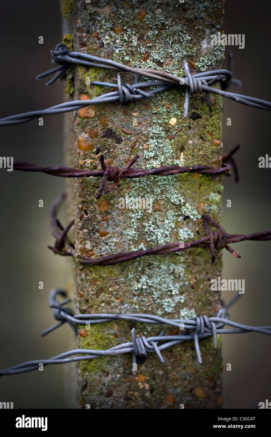 Beton und stacheldraht Stockfotos und -bilder Kaufen - Alamy