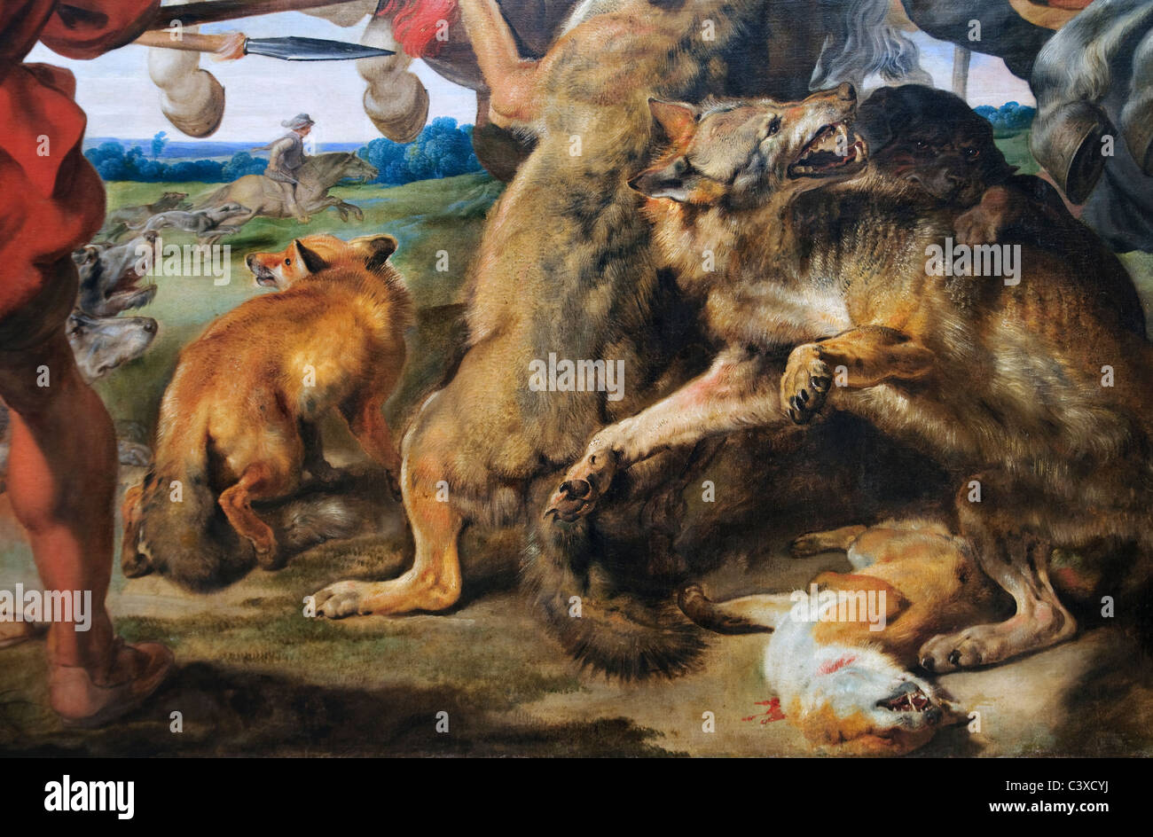 Caceria fuchs -Fotos und -Bildmaterial in hoher Auflösung – Alamy