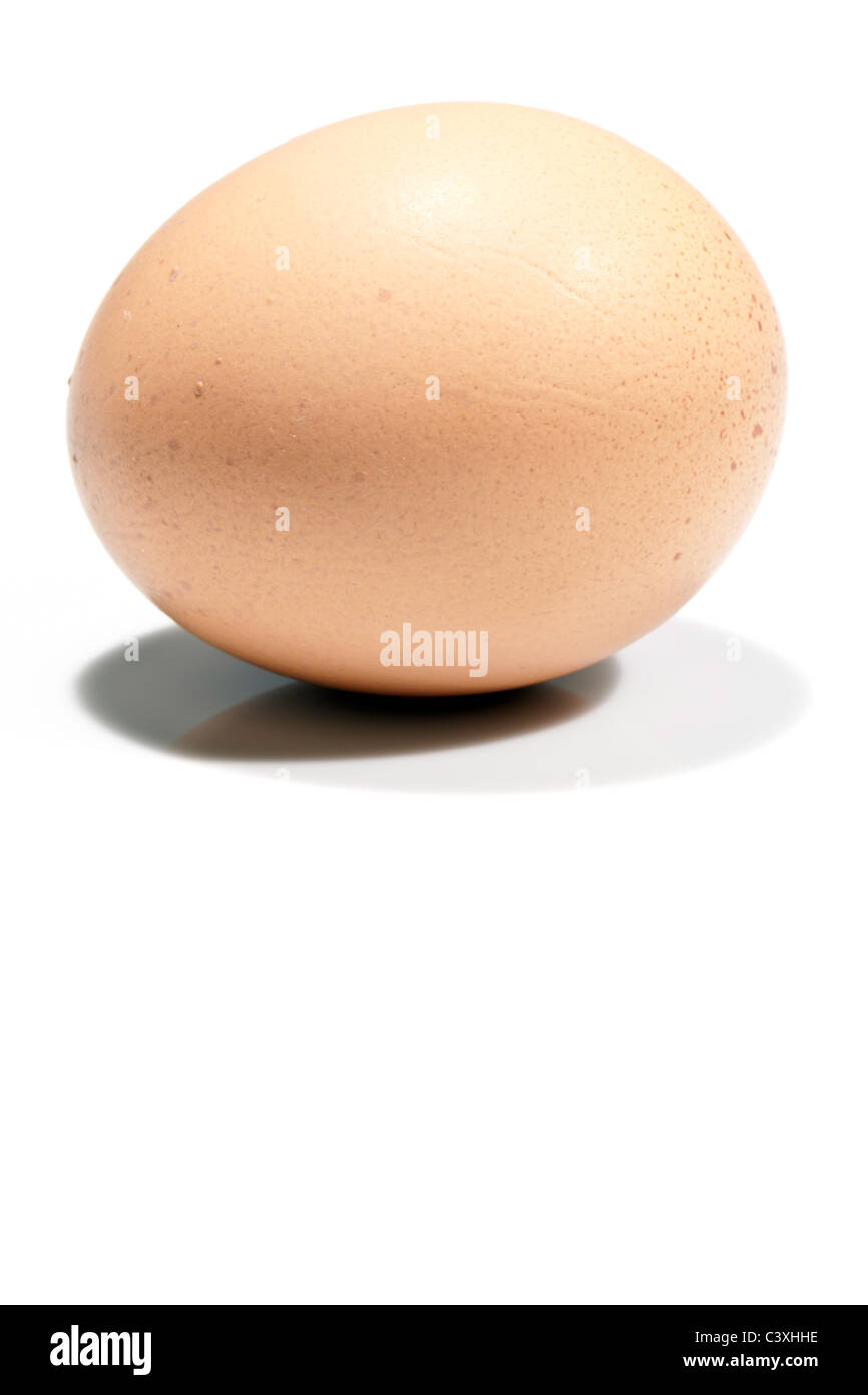 Neues nest Ausgeschnittene Stockfotos und -bilder - Alamy