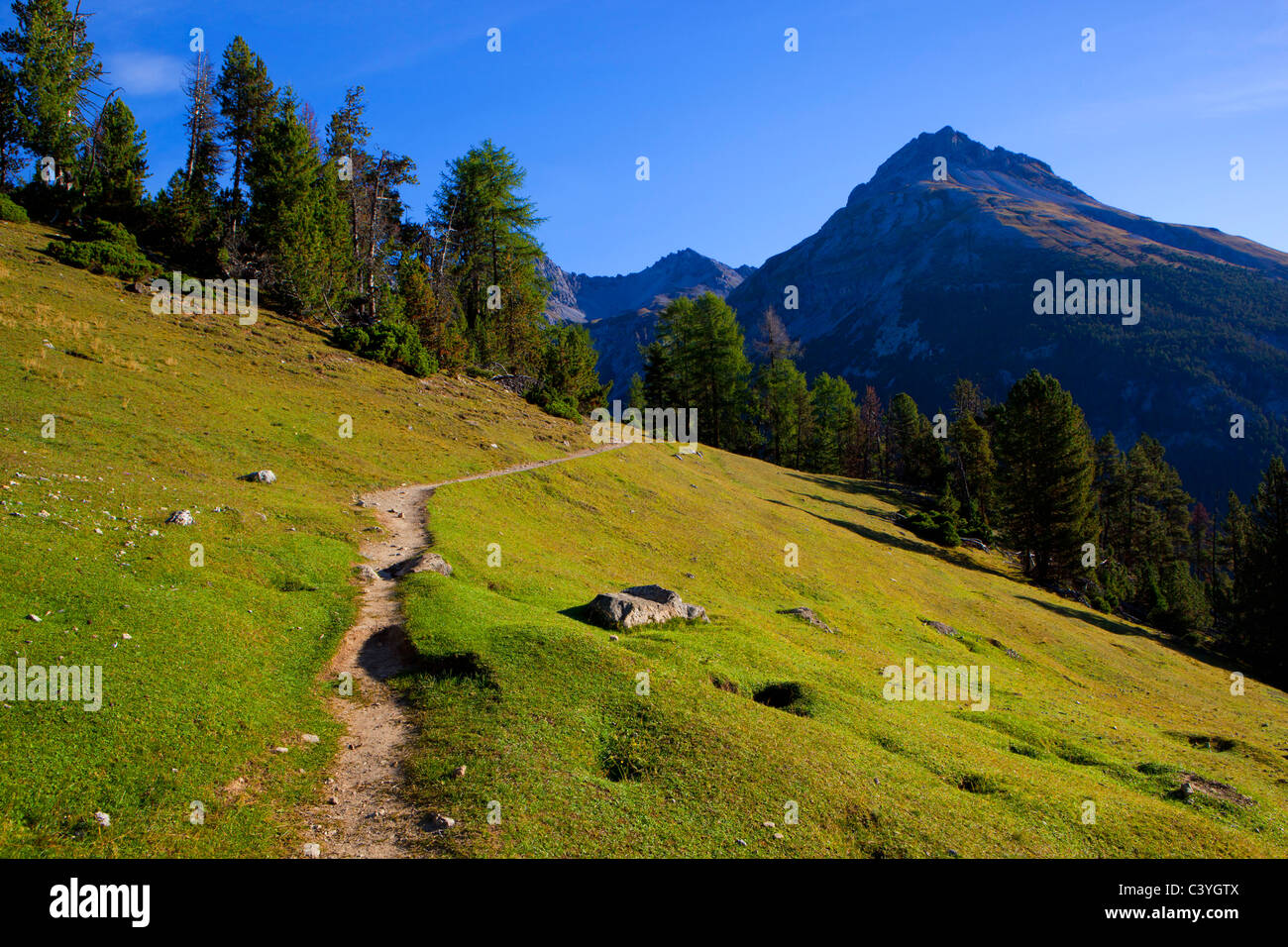 Alp Grimmels, Schweiz, Kanton Graubünden, Graubünden, Nationalpark, Alp ...